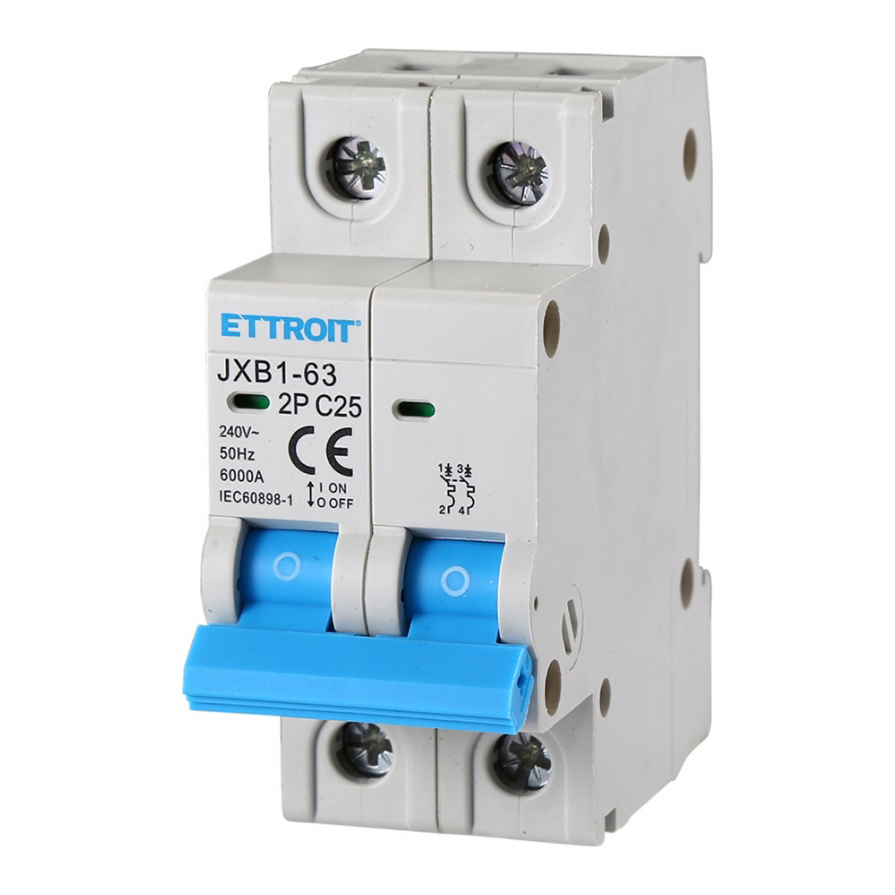 Interruttore automatico magnetotermico modulare 2P 25A 6KA 220V Ettroit